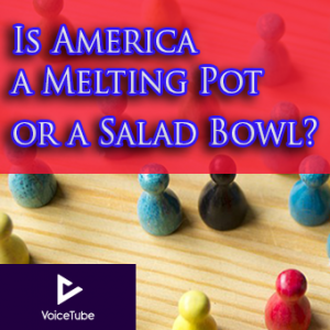Melting Pot vs. Salad Bowl Cultural Analogy Differences U.S.